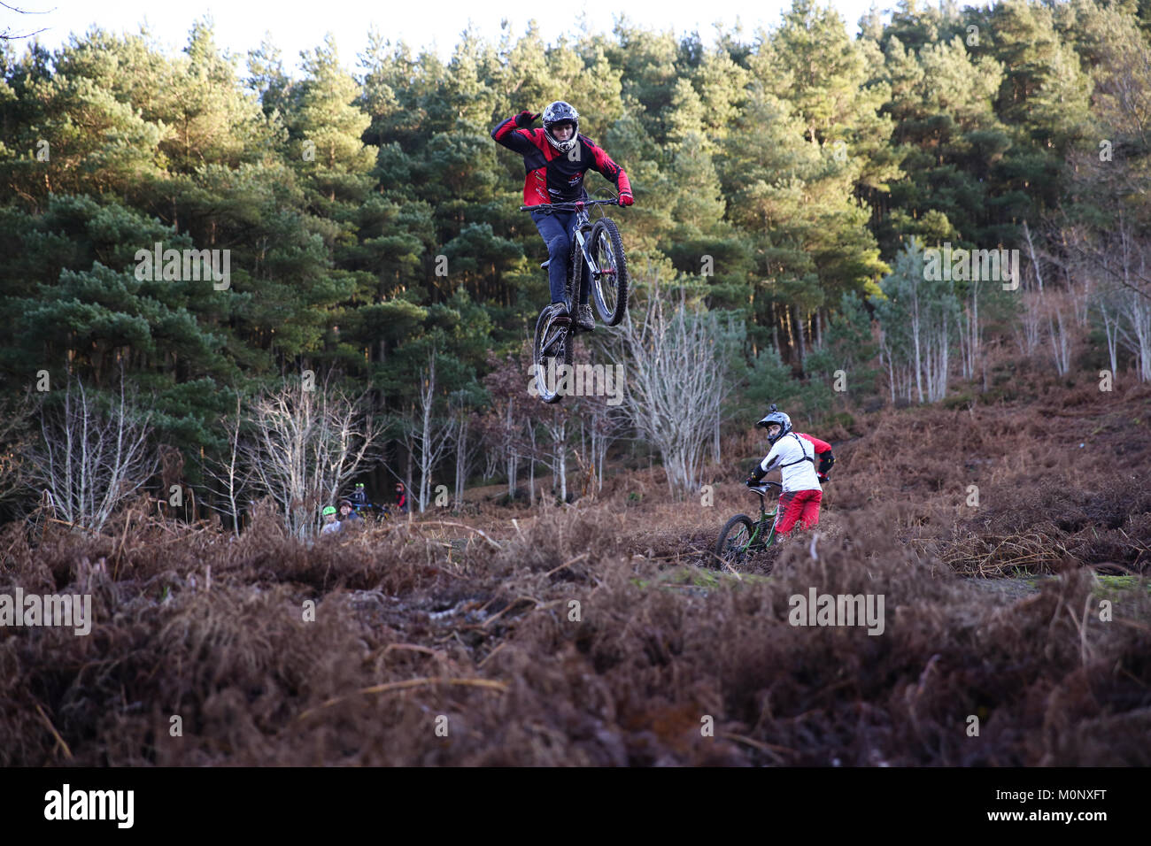 Mountain Biking at Pontypridd, Wales Stock Photo - Alamy