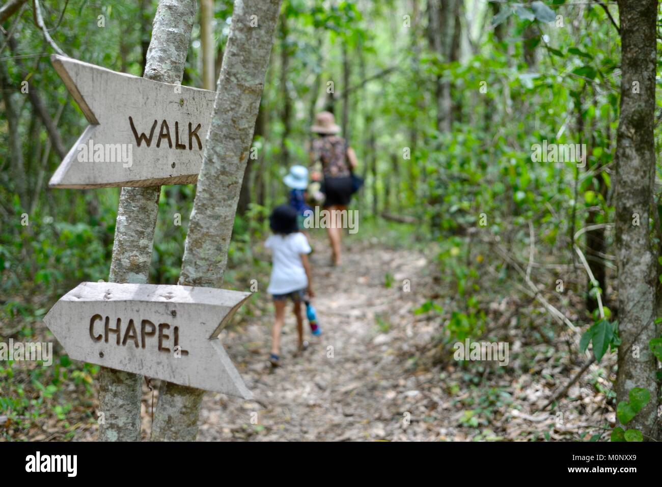 Mother and daughter walking on leaf litter path with signs walk and ...