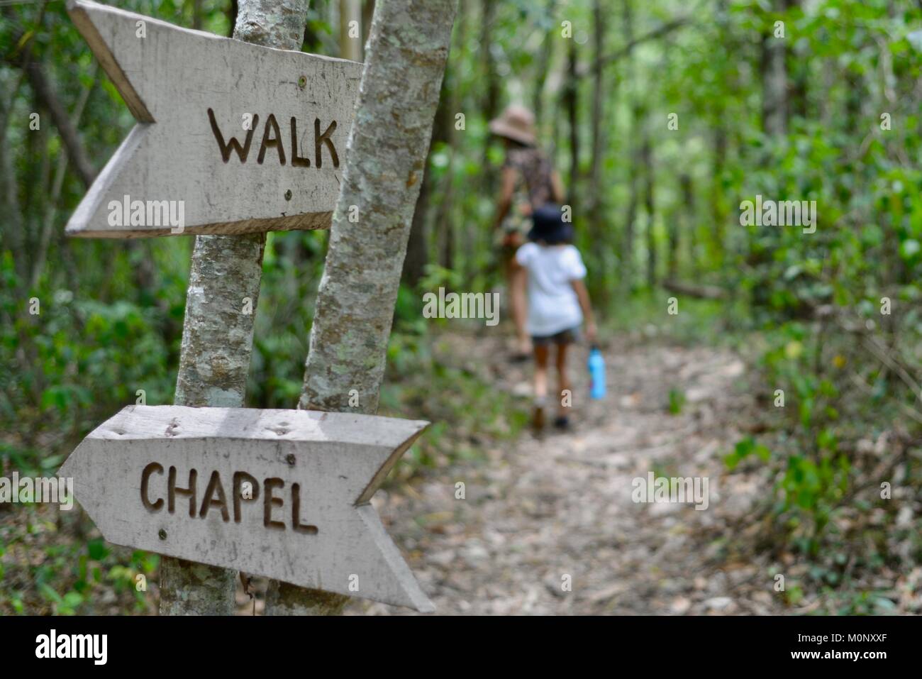 Mother and daughter walking on leaf litter path with signs walk and ...