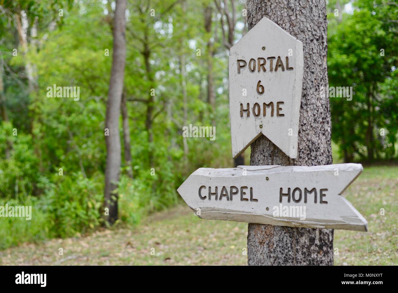 Signs in a forest directing to either chapel home or portal 6 home ...
