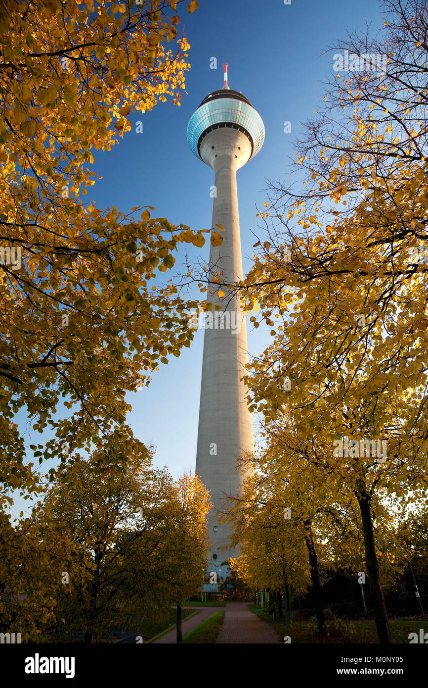 Rhine tower hi-res stock photography and images - Alamy