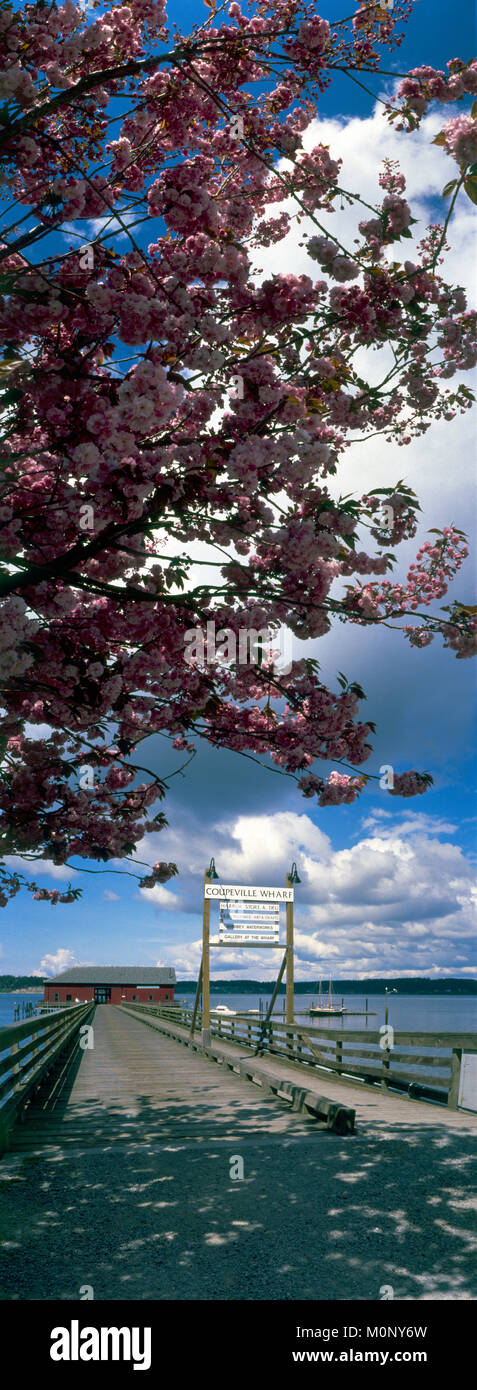Gleaming sand hi-res stock photography and images - Alamy