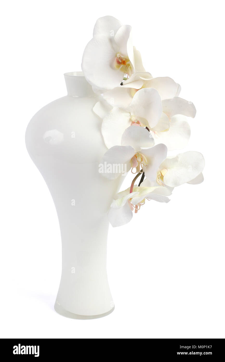 White Porcelain Vase on Plain Background Stock Photo - Alamy