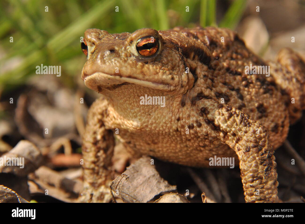 Guard awakening hi-res stock photography and images - Alamy