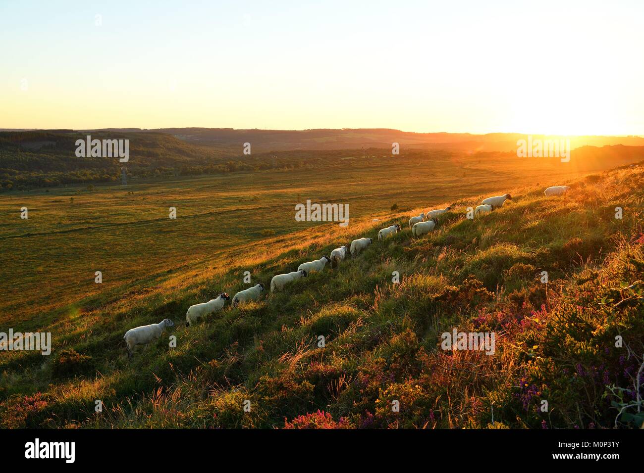 Massif armoricain hi-res stock photography and images - Alamy