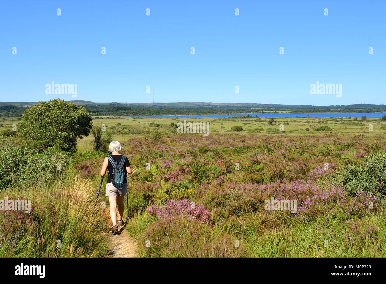 France,Finistere,Parc Naturel Regional d'Armorique (Armorica Natural ...