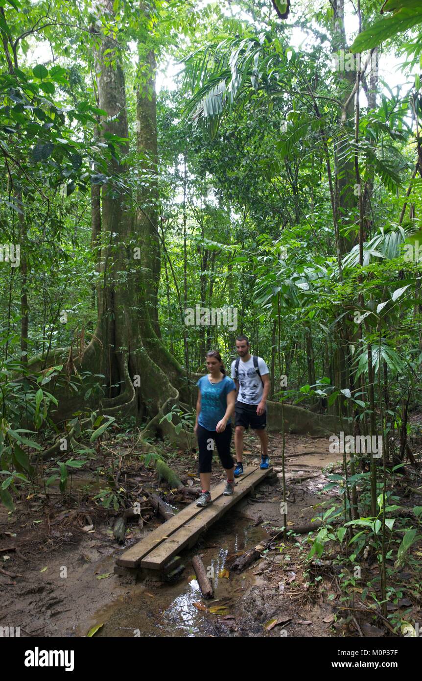 Corcovado national park costa rica man hi-res stock photography and ...