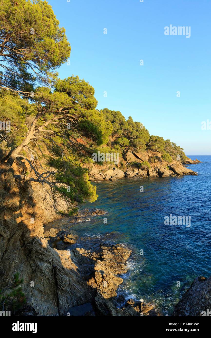 France,Var,Rayol Canadel sur Mer,Domaine du Rayol,Mediterranean garden ...