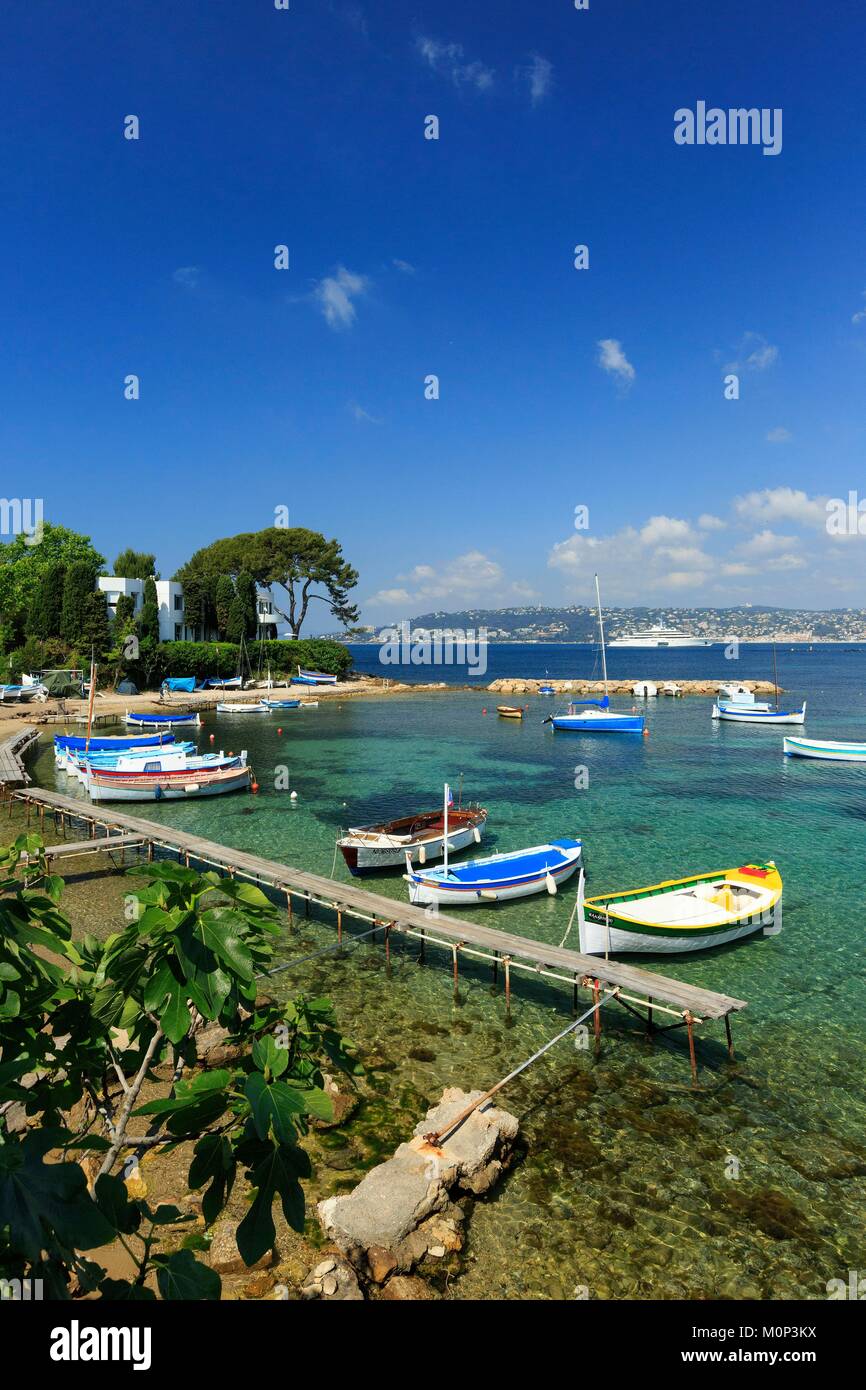 France,Alpes Maritimes,Antibes,Cap d'Antibes,port of the Olivette Stock ...