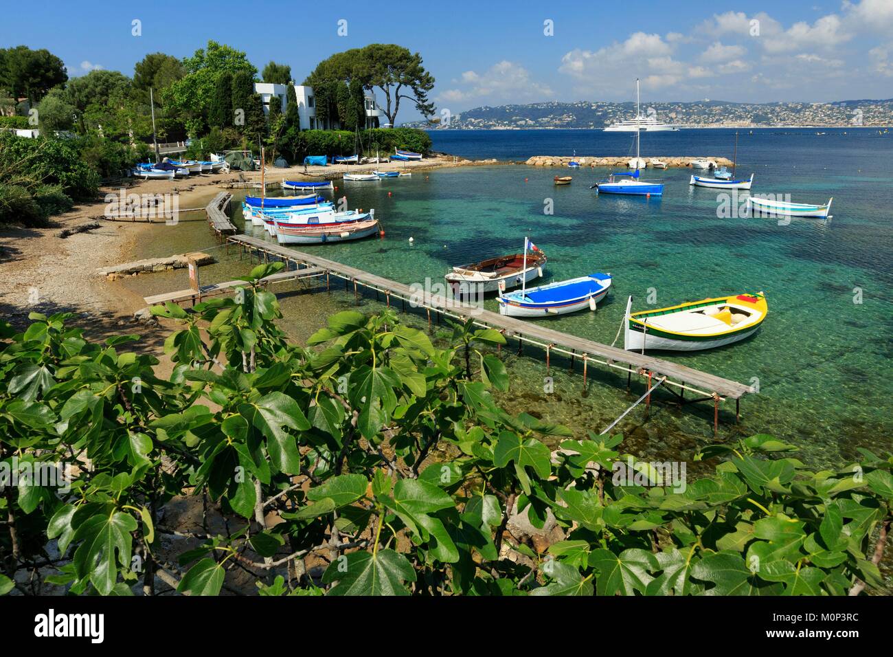 France,Alpes Maritimes,Antibes,Cap d'Antibes,port of the Olivette Stock ...