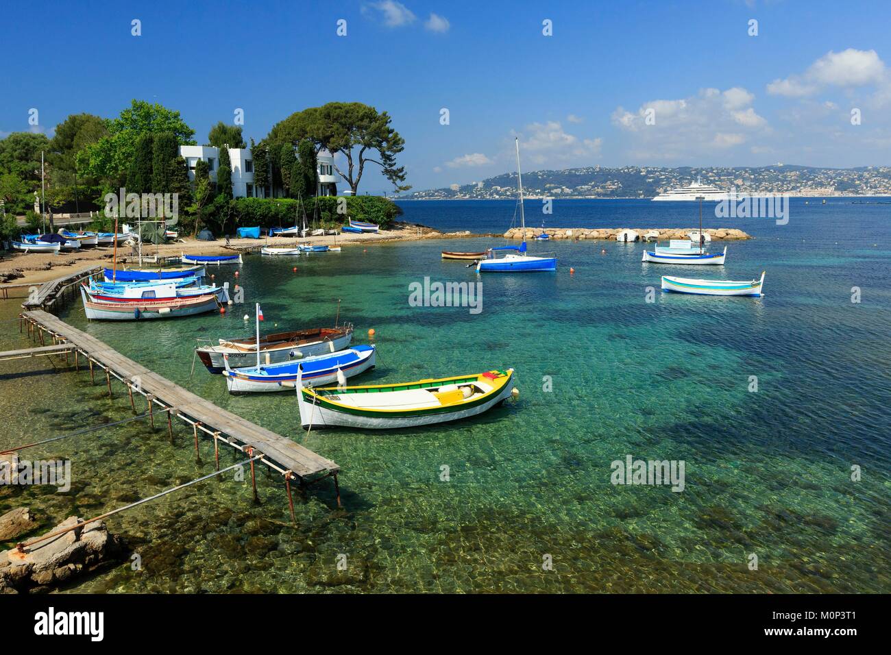Olivette hi-res stock photography and images - Alamy