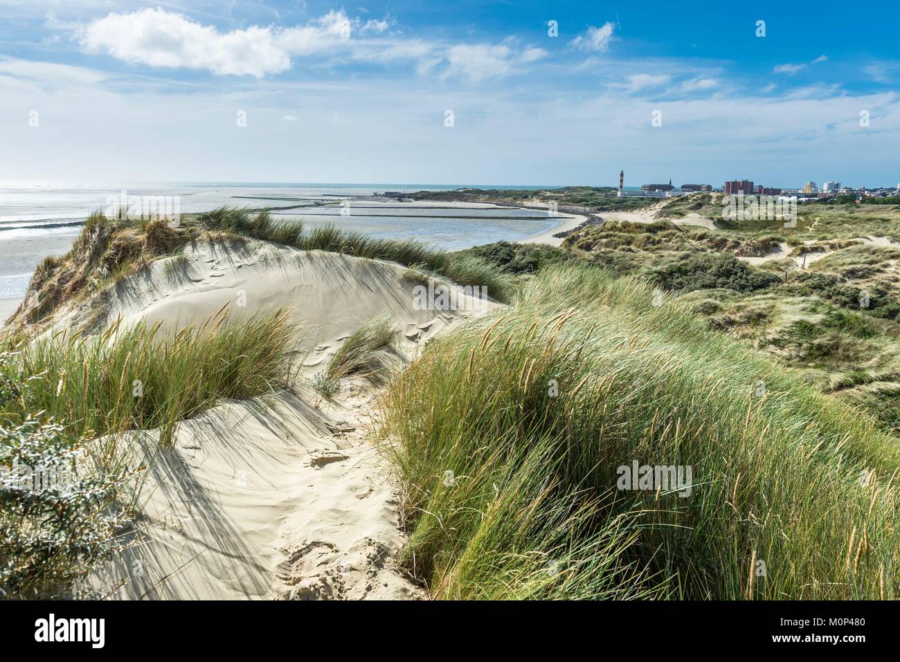 Berck Stock Photos & Berck Stock Images - Alamy