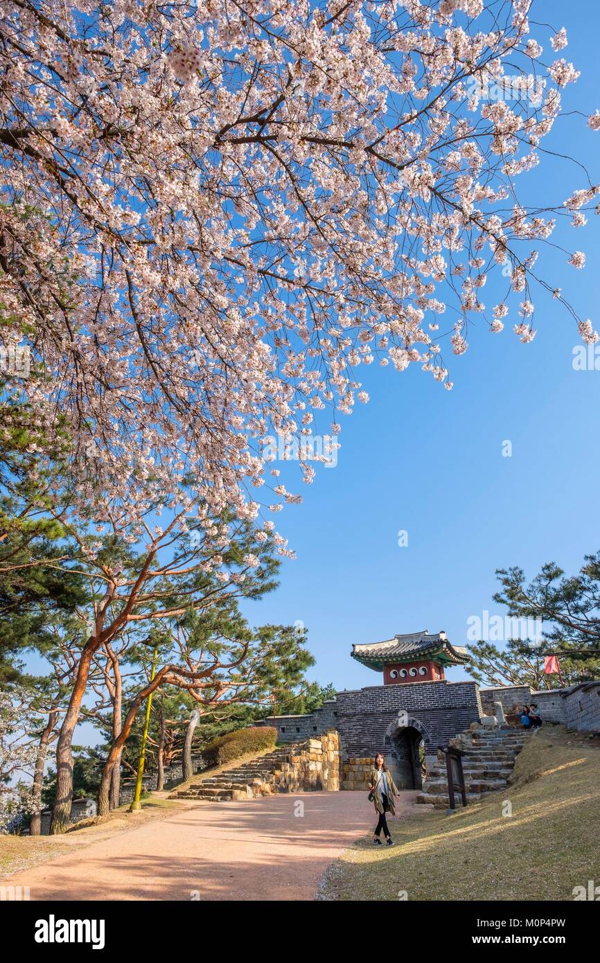 South Korea,Gyeonggi province,Suwon,Hwaseong fortress listed as World ...