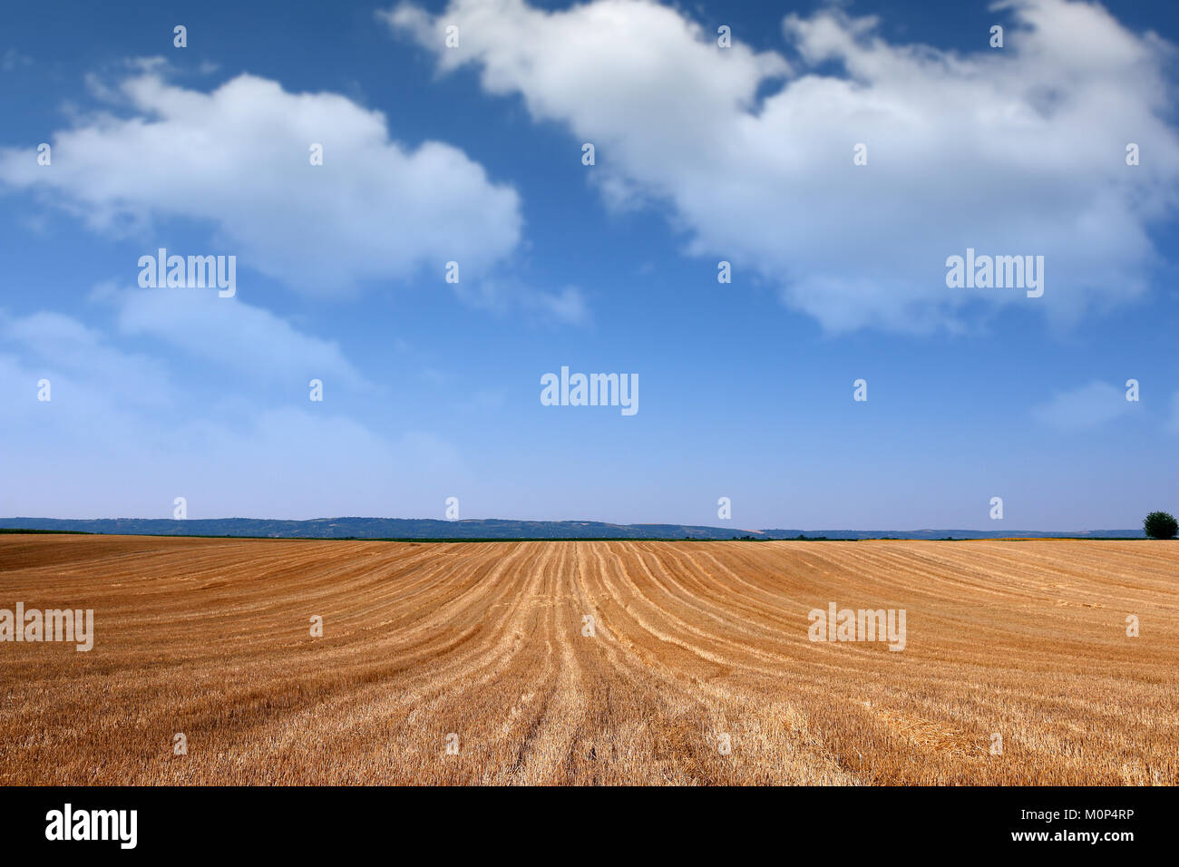 Grain landscape hi-res stock photography and images - Alamy