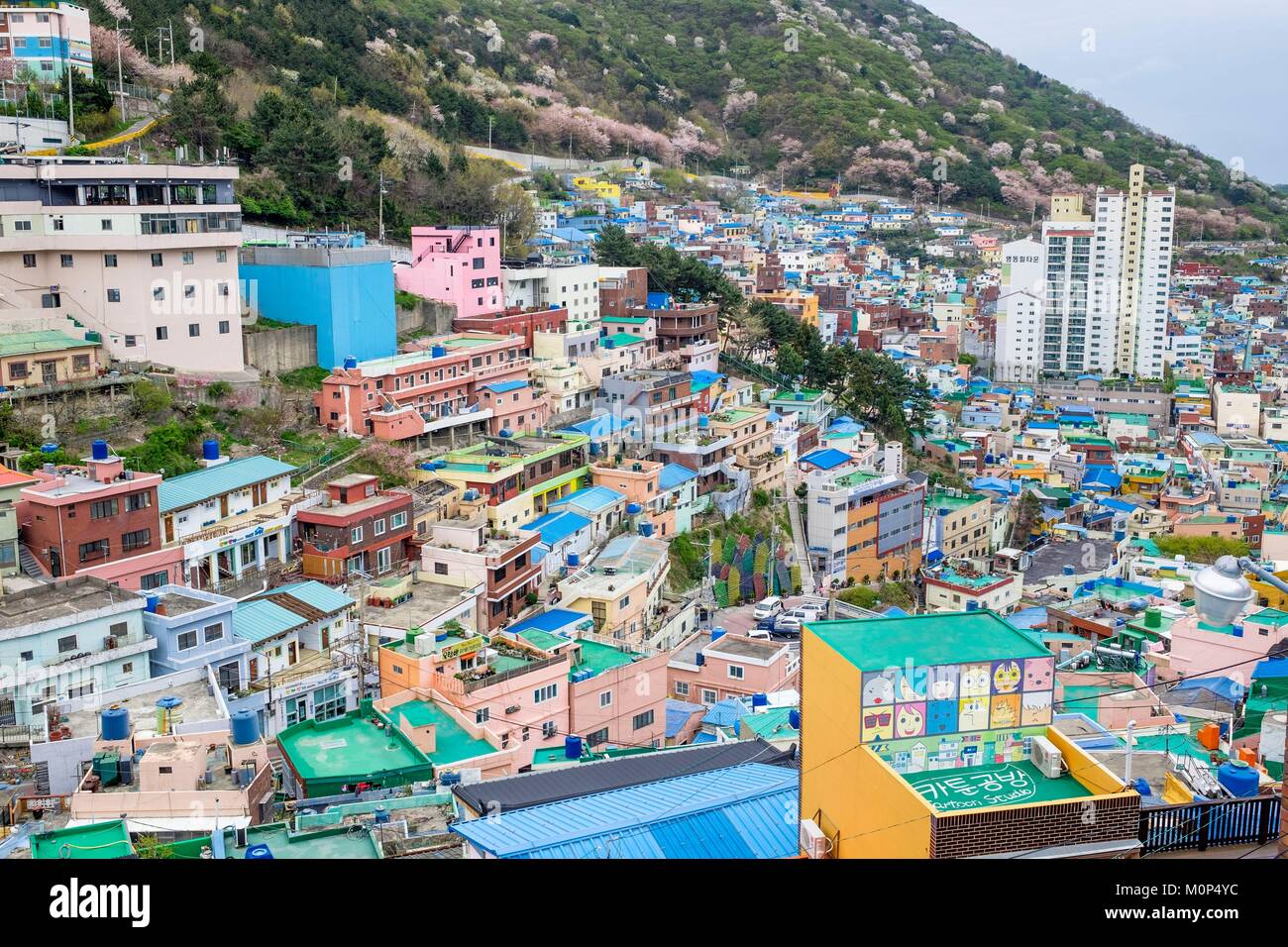 South Korea,South Gyeongsang province,Busan,Saha-gu district,Gamcheon ...