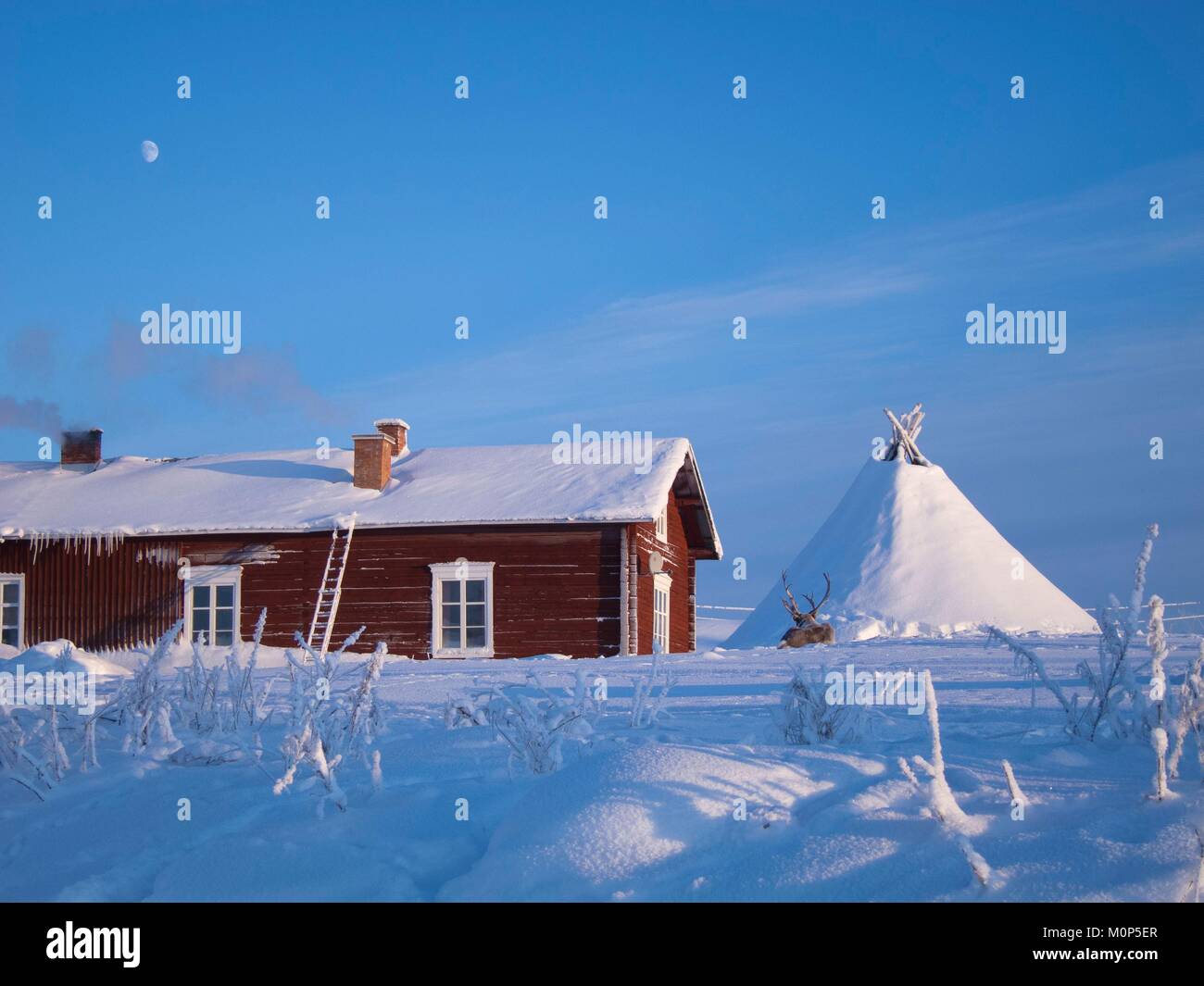 Sweden,Lapland,region listed as World Heritage by UNESCO,Norrbotten ...
