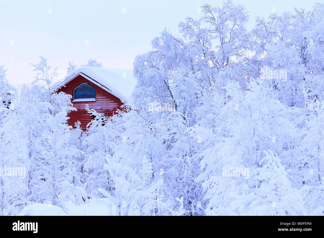Sweden taiga forest hi-res stock photography and images - Alamy