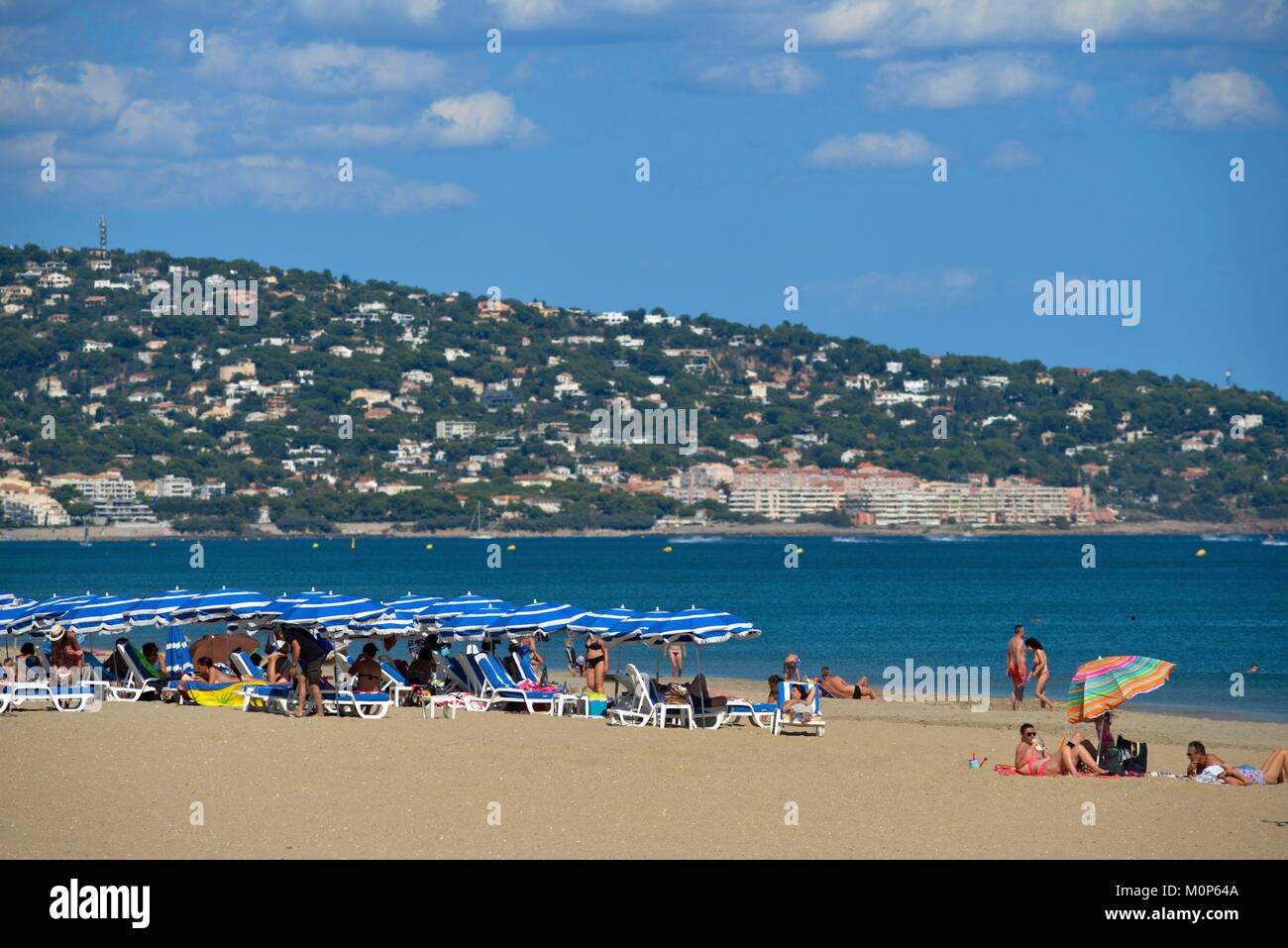 France,Herault,Sete,Beach of Lido,vacationers taking the sun in sea ...