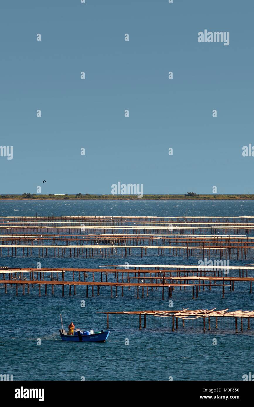 Oyster boat fisherman hi-res stock photography and images - Alamy