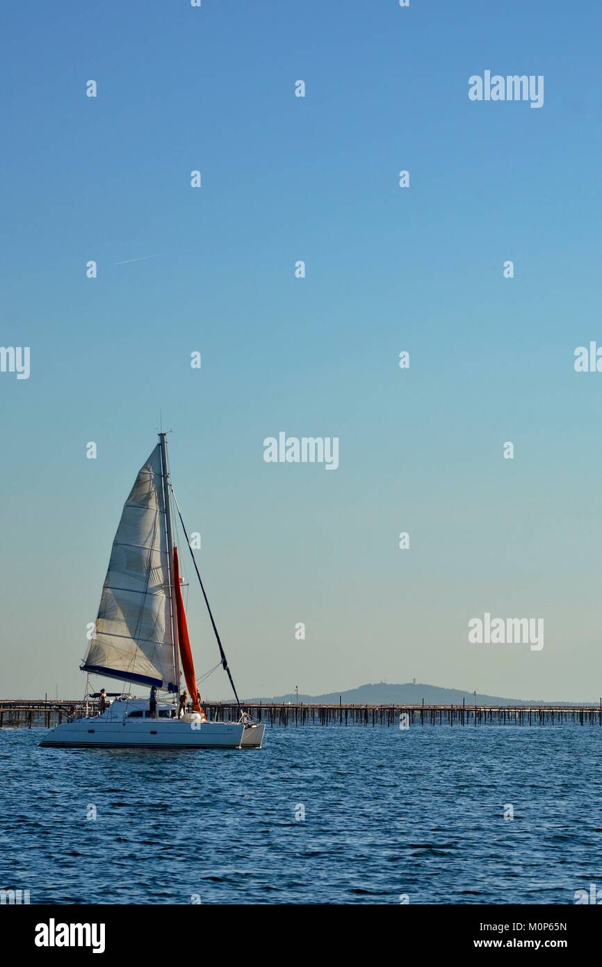 Oysters parks hi-res stock photography and images - Alamy