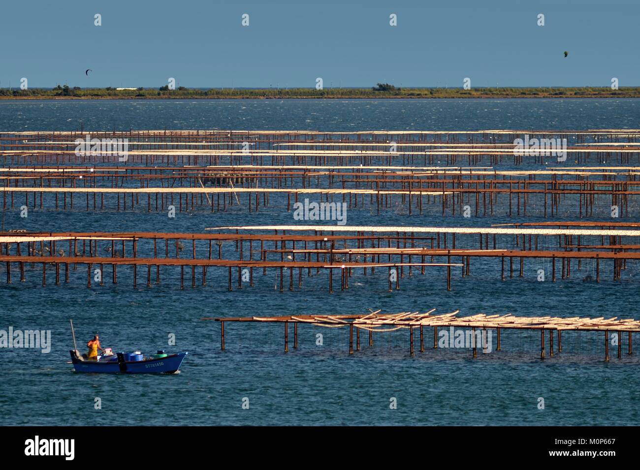 Oyster boat fisherman hi-res stock photography and images - Alamy