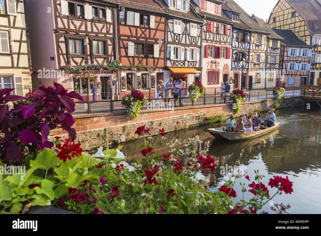 France,Haut Rhin,Alsace Wine Route,Colmar,Krutenau district in La ...