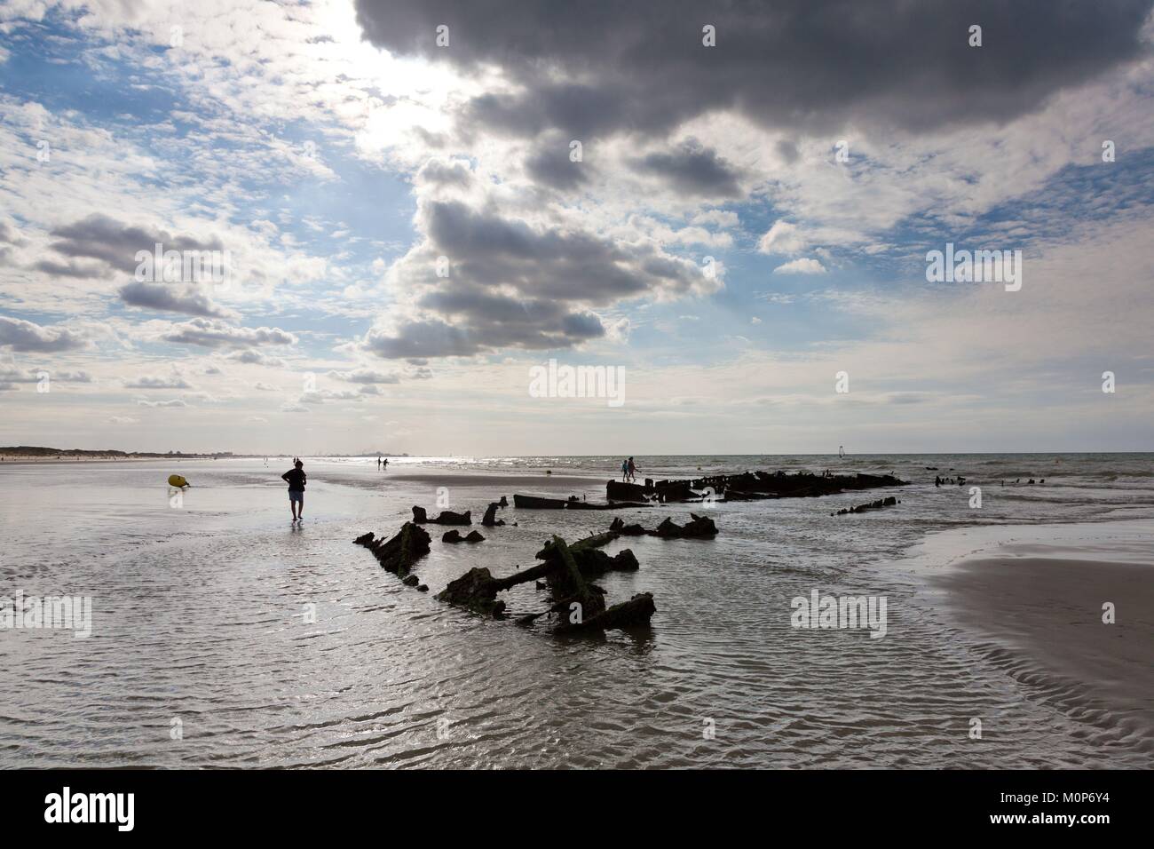 France,Leffrinckoucke,wreck of the Crested Eagle,steamer wheel ...