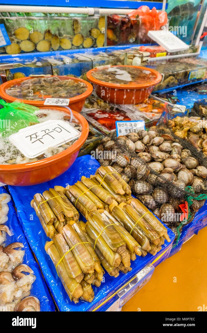 South korea seoul noryangjin fish hi-res stock photography and images ...