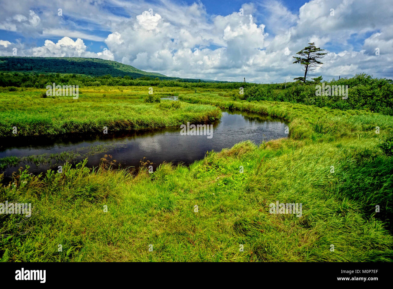 Beautiful Blackwater River meanders through Canaan Valley West Virginia ...