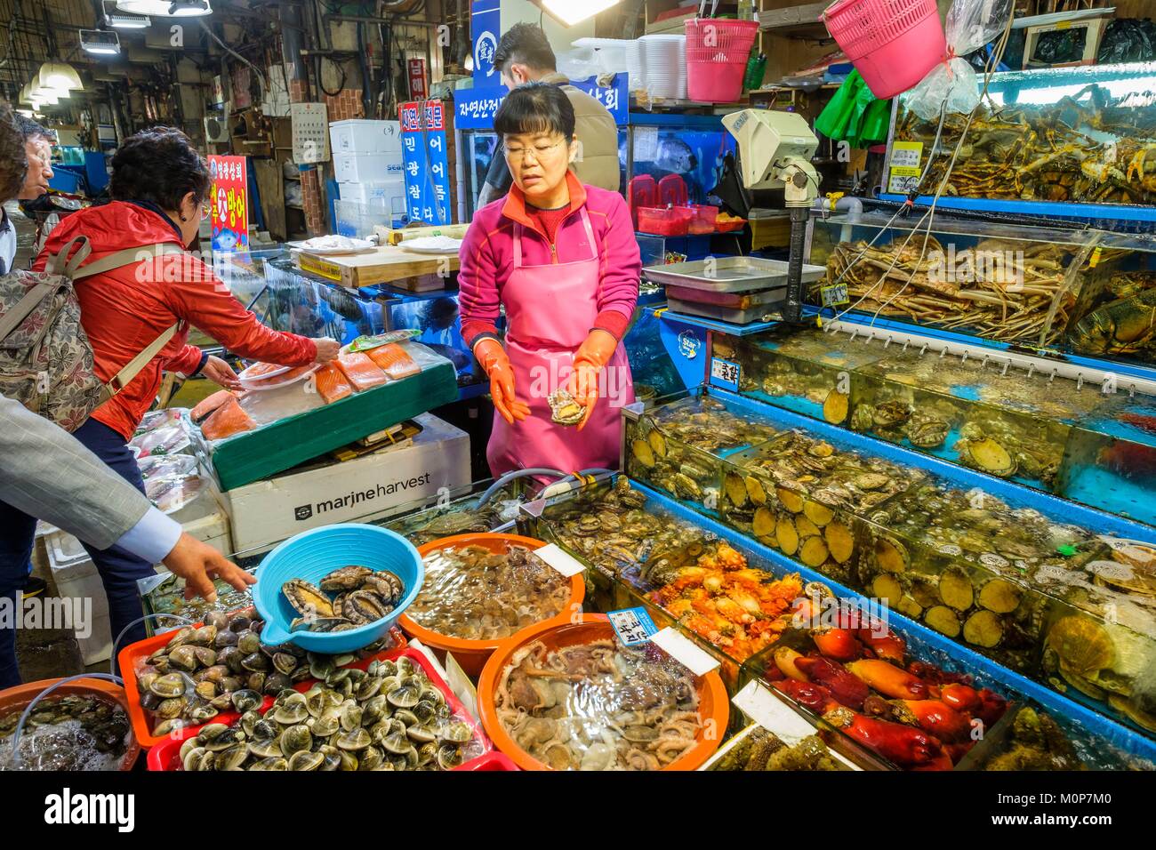 South Korea,Seoul,Dongjak-gu district,Noryangjin fish and seafood ...