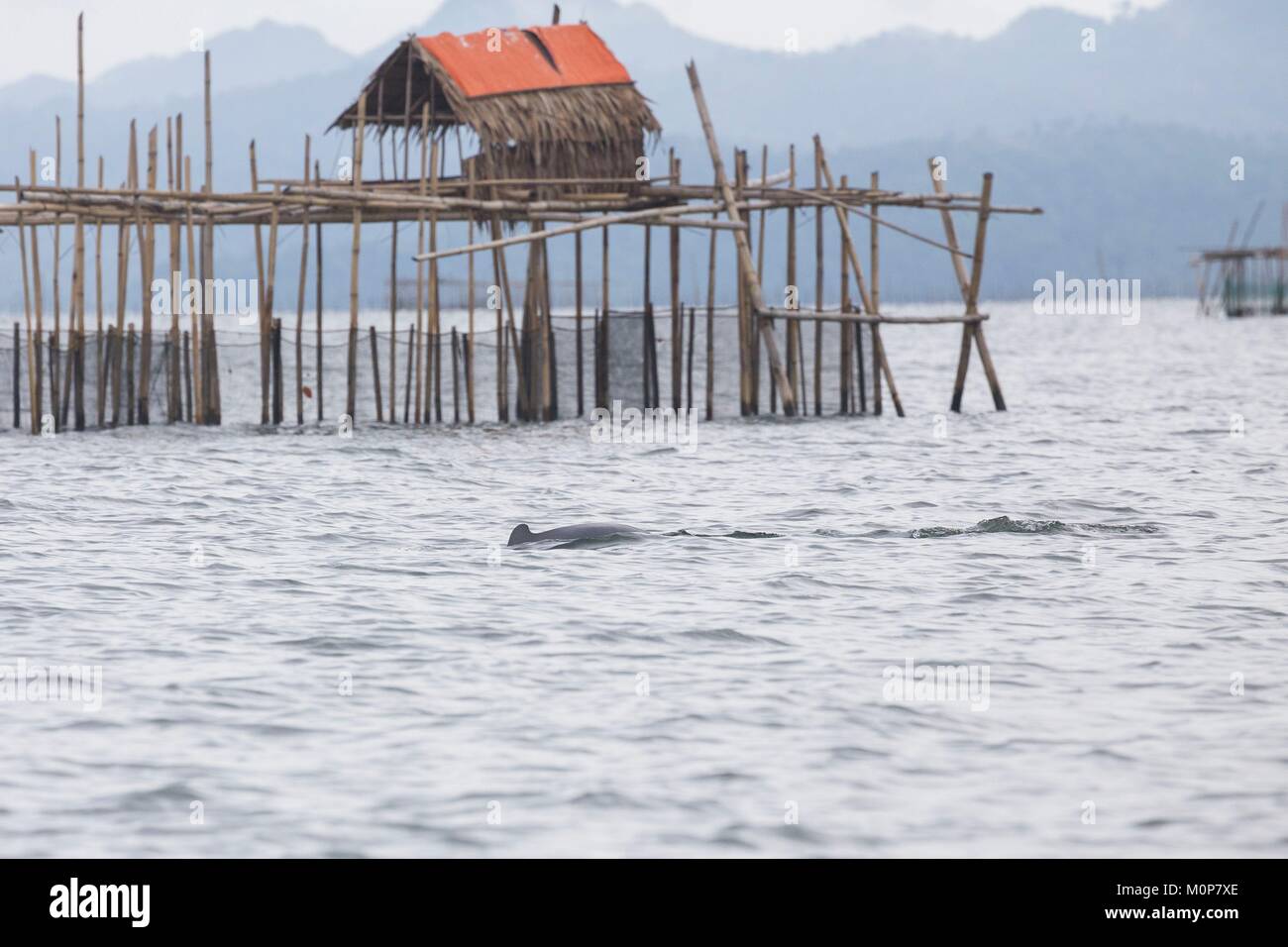 Philippines,Palawan,Malampaya Sound Protected Landscape and Seascape ...