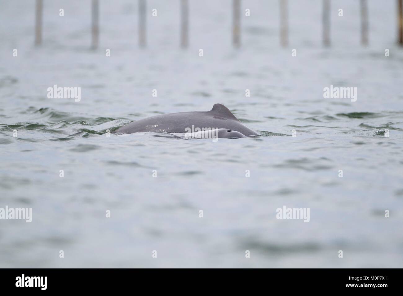 Philippines,Palawan,Malampaya Sound Protected Landscape and Seascape ...