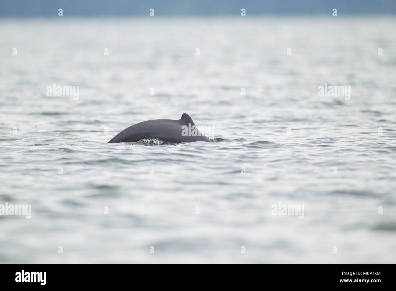 Philippines,Palawan,Malampaya Sound Protected Landscape and Seascape ...