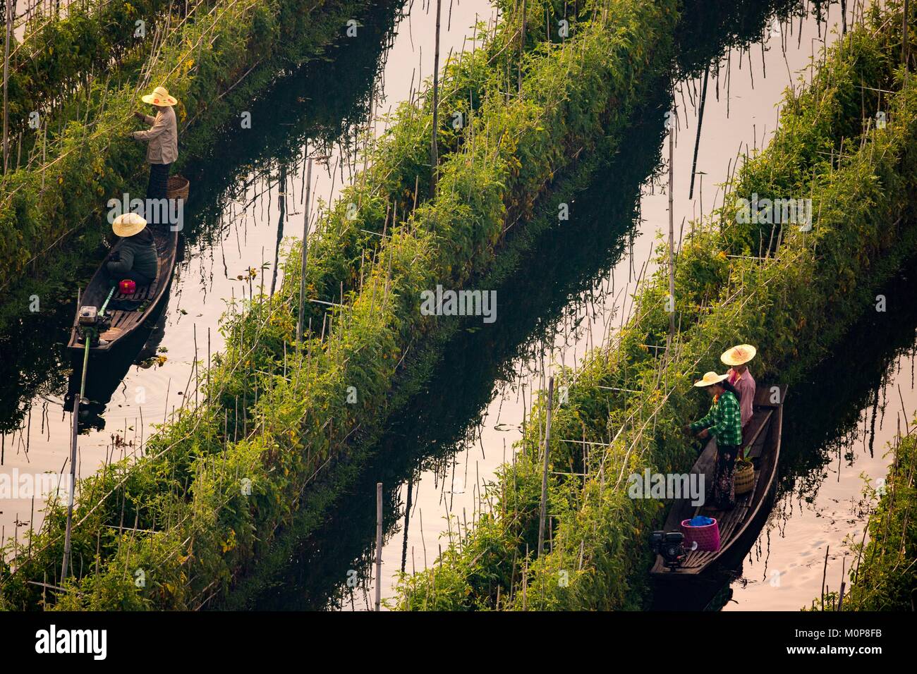 Myanmar,Shan State,Taunggyi District,Nyaung Shwe City,lacustrine ...