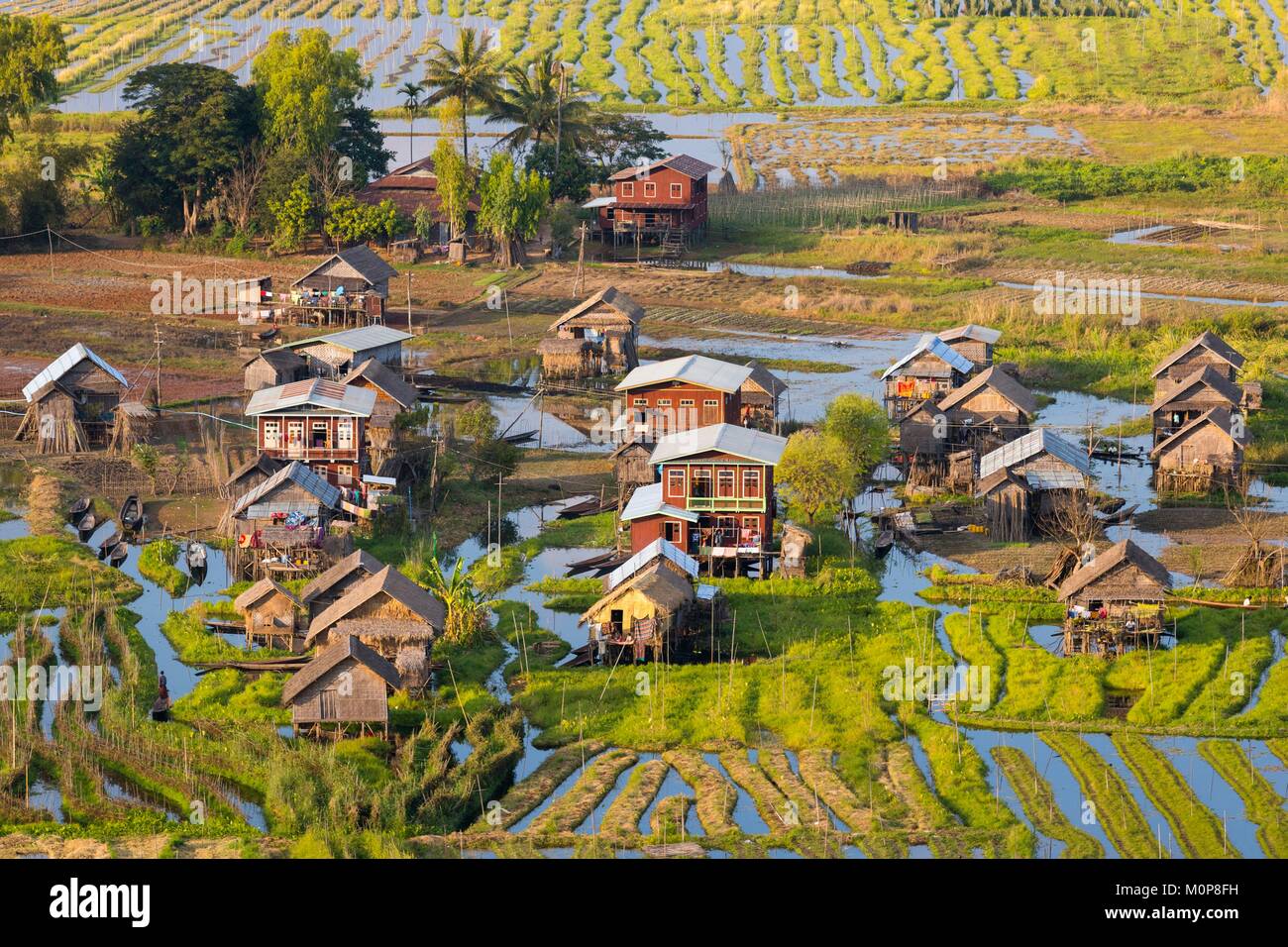 Myanmar,Shan State,Taunggyi District,Nyaung Shwe City,lacustrine ...