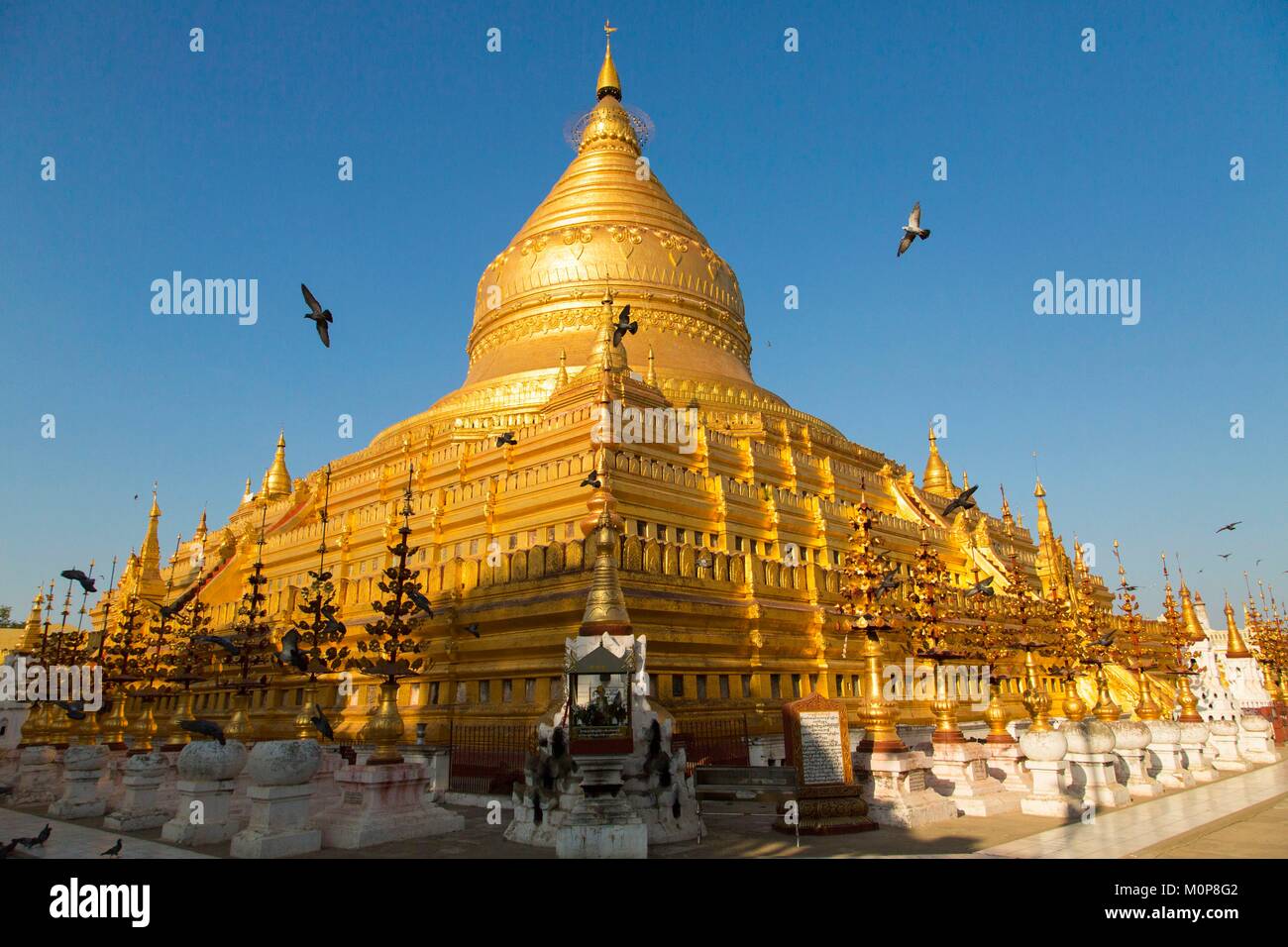 Myanmar,city of Yangon,ex Rangoon,ex capital city ok Burma,Shwedagon ...