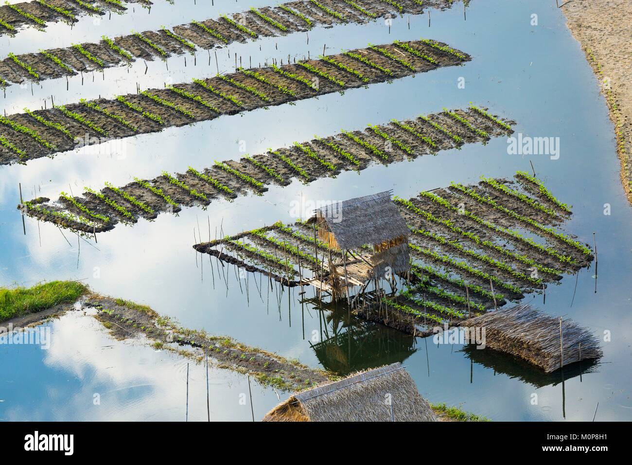 Aerial view of traditional floating gardens hi-res stock photography ...