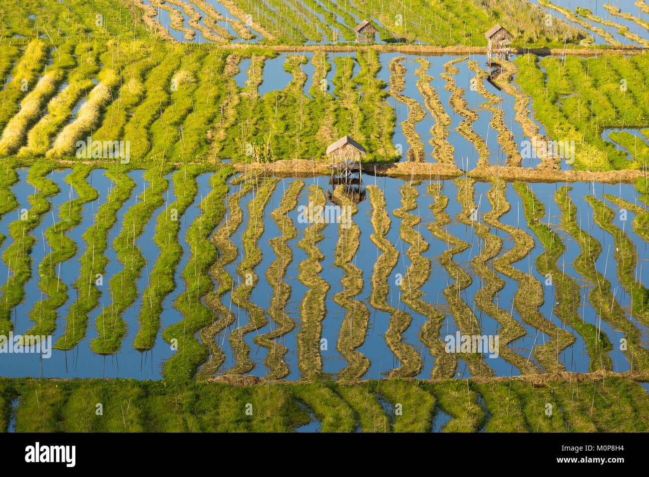 Myanmar,Shan State,Taunggyi District,Nyaung Shwe City,lacustrine ...