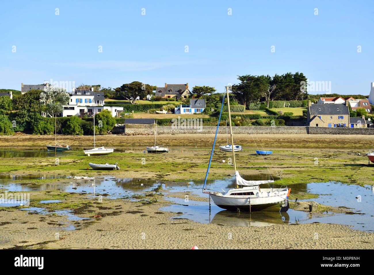 France,Finistere,Iroise sea,Armorique Regional natural park,Le Conquet ...