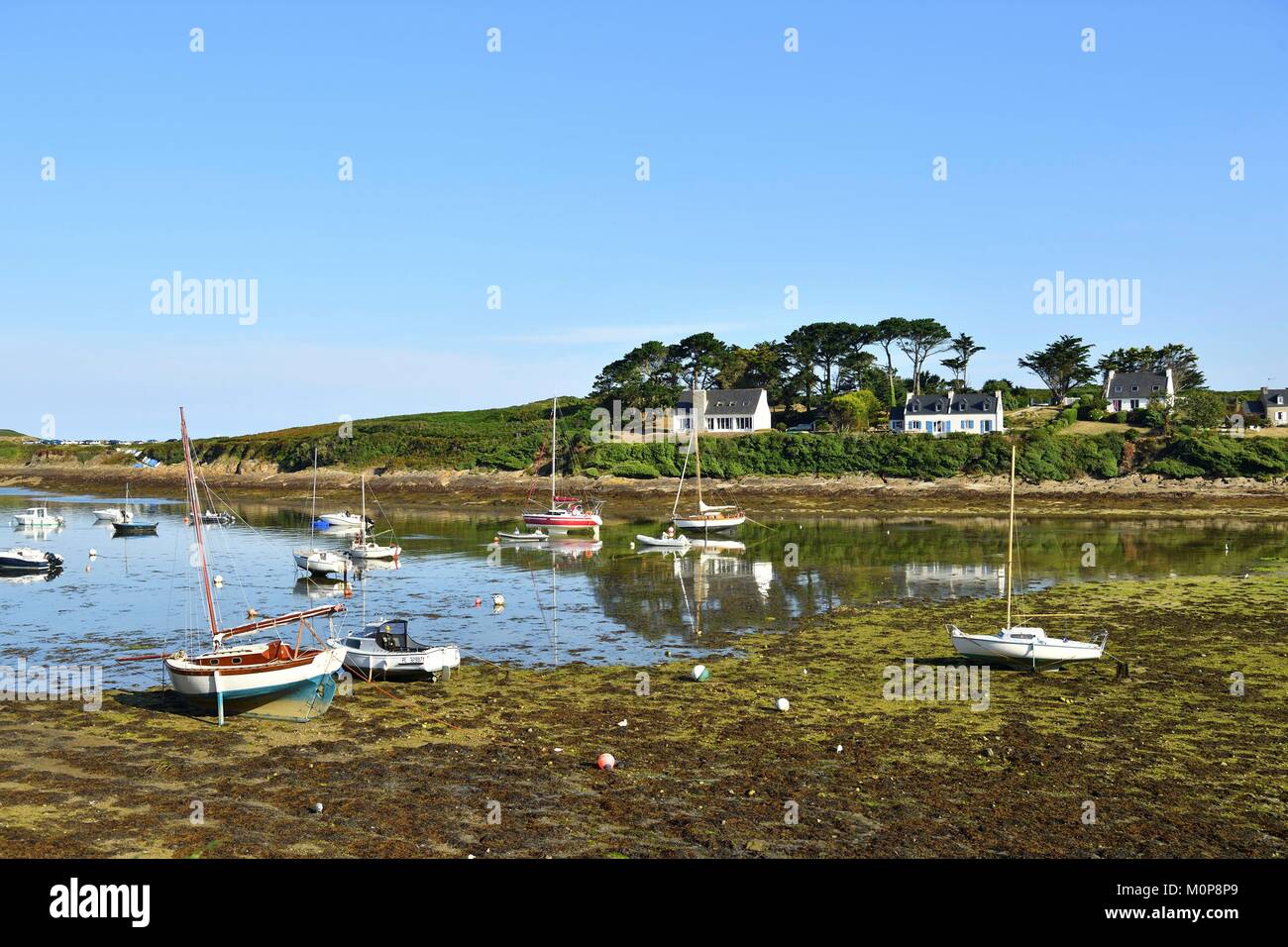 France,Finistere,Iroise sea,Armorique Regional natural park,Le Conquet ...
