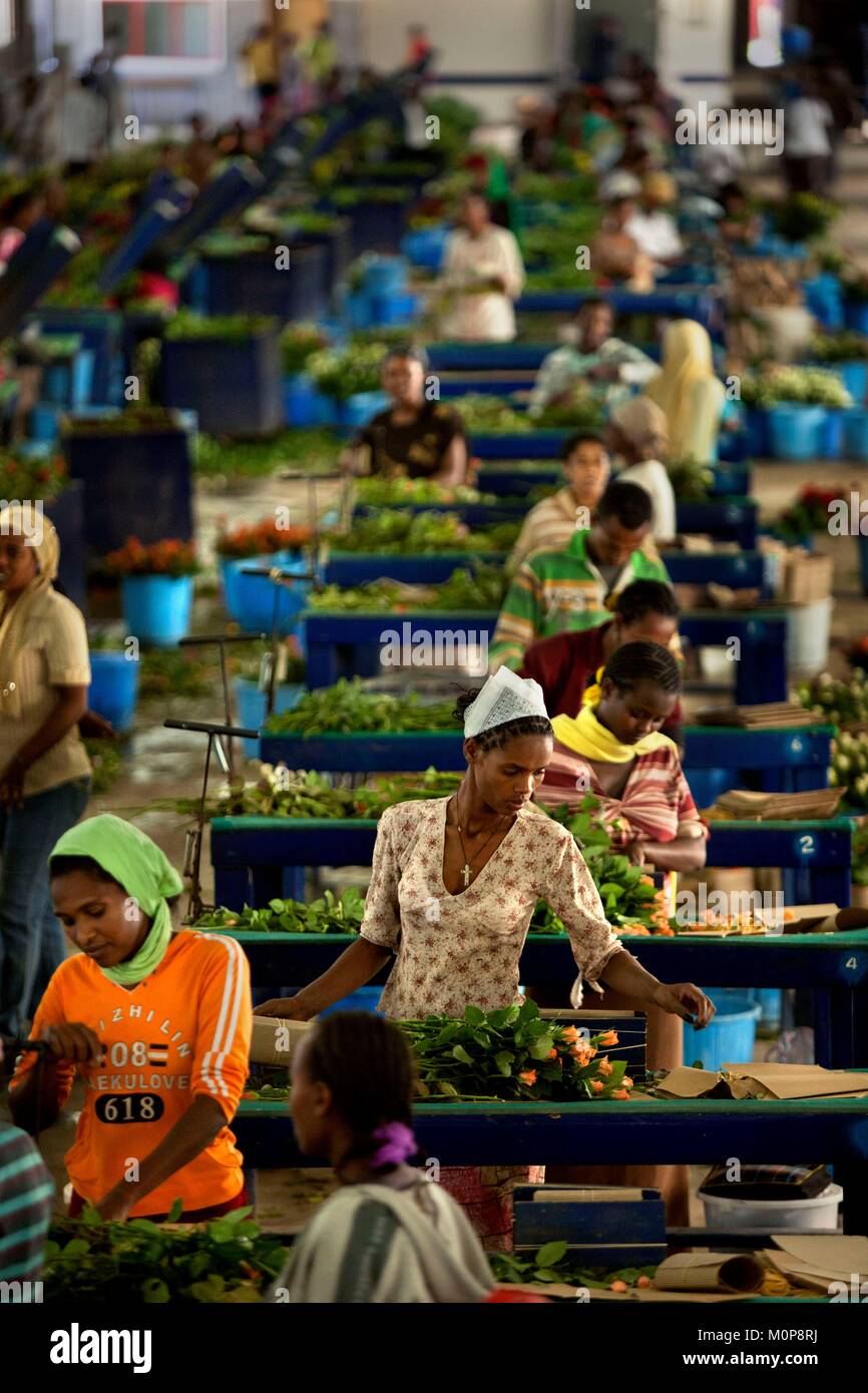 Day in addis ababa hi-res stock photography and images - Alamy