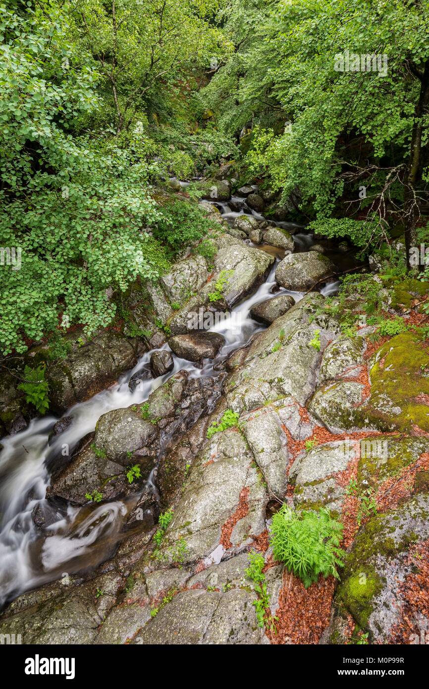 France,Lozere,Les Causses et les Cevennes,cultural landscape of the ...
