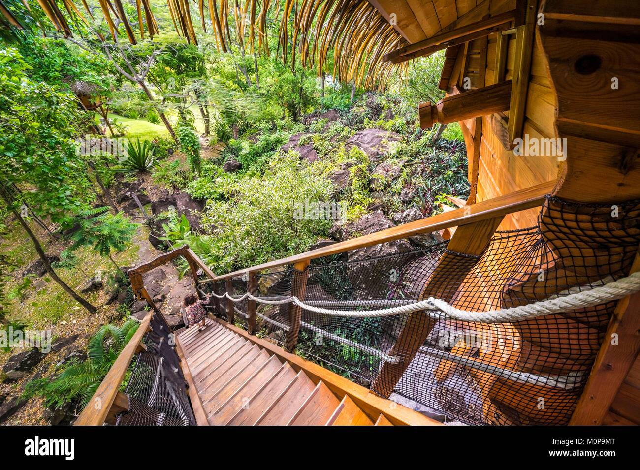 France,Caribbean,Lesser Antilles,Guadeloupe,Basse-Terre,Vieux Habitants ...