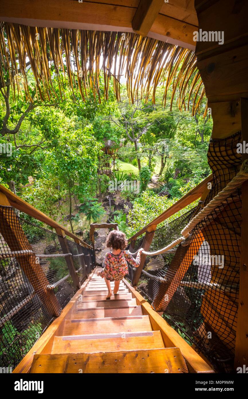 France,Caribbean,Lesser Antilles,Guadeloupe,Basse-Terre,Vieux Habitants ...