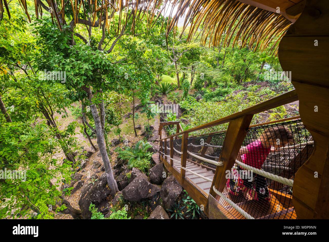 France,Caribbean,Lesser Antilles,Guadeloupe,Basse-Terre,Vieux Habitants ...