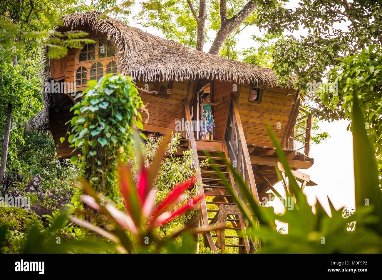 France,Caribbean,Lesser Antilles,Guadeloupe,Basse-Terre,Vieux Habitants ...