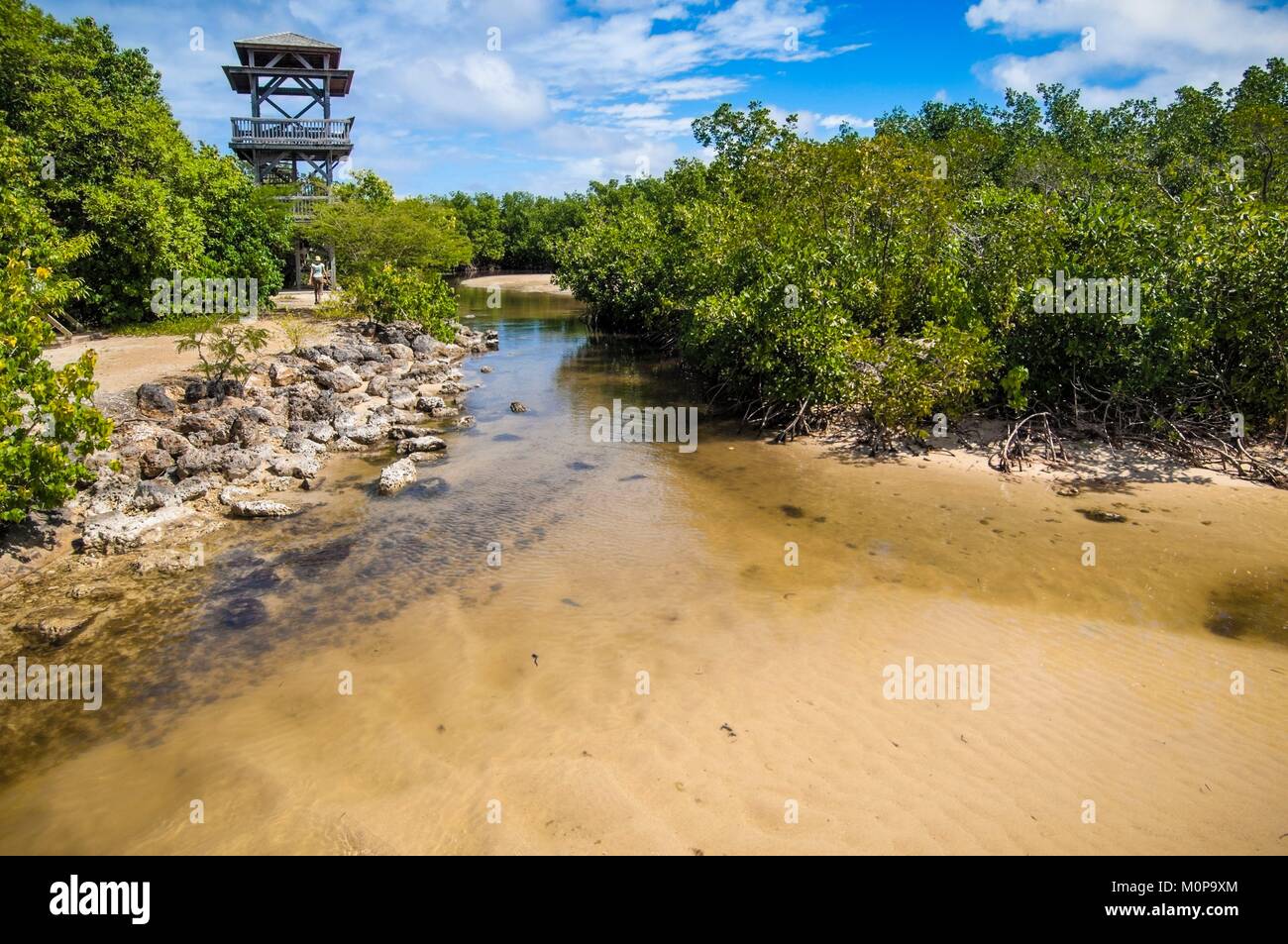 France,Guadeloupe,Grande-Terre,Port-Louis,discovery trail of the ...