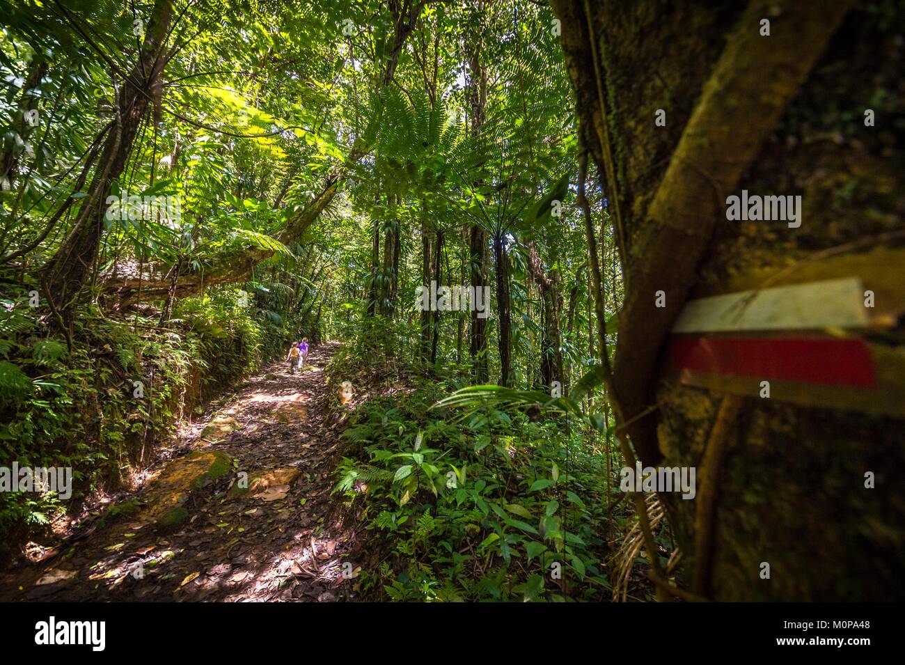 France,Caribbean,Lesser Antilles,Guadeloupe,Basse-Terre,Guadeloupe ...