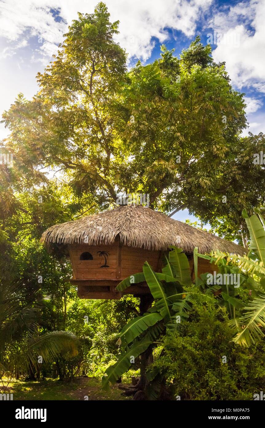 France,Caribbean,Lesser Antilles,Guadeloupe,Basse-Terre,Vieux Habitants ...