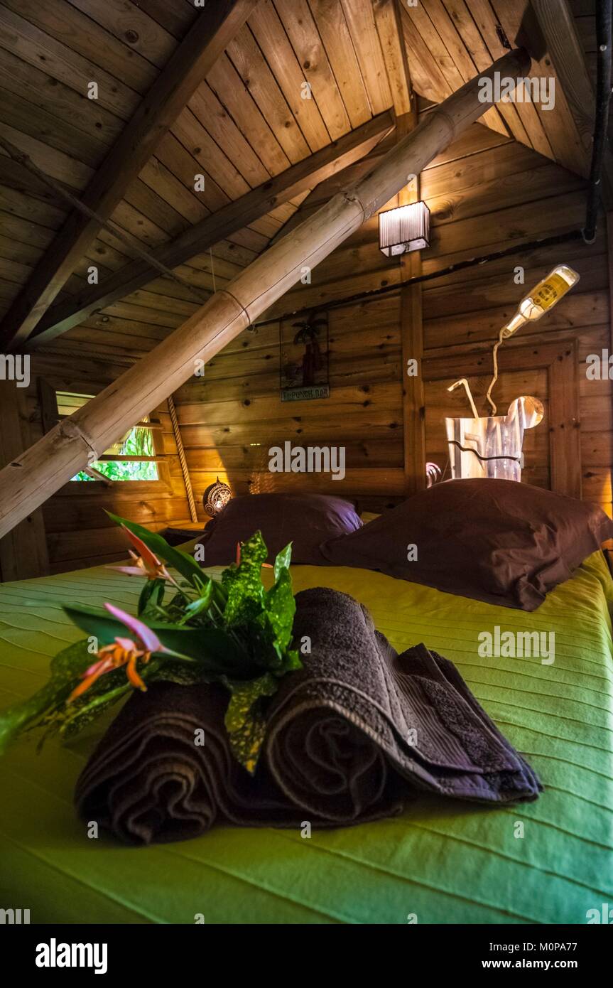 France,Caribbean,Lesser Antilles,Guadeloupe,Basse-Terre,Vieux Habitants ...